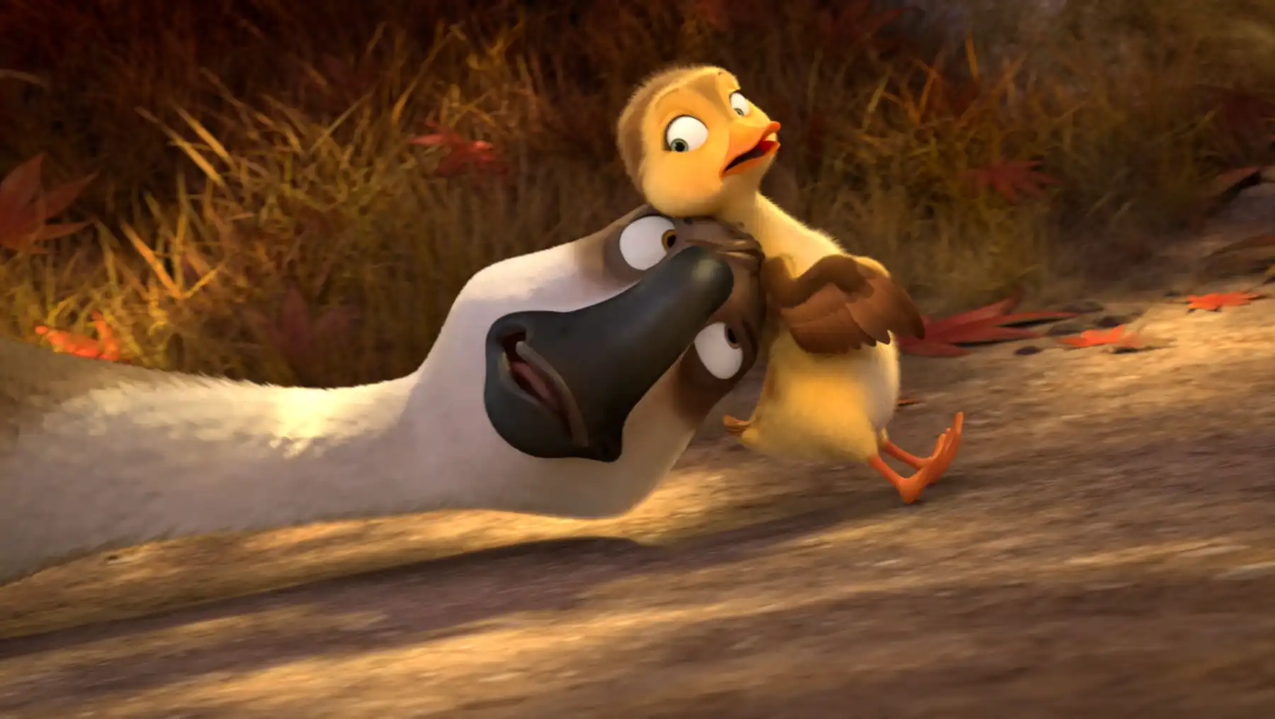 DUCK DUCK GOOSE - GFM Animation